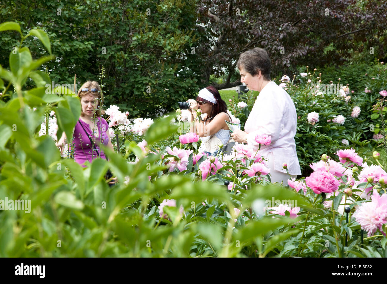 Internationally renowned as an outstanding example of horticultural art ...