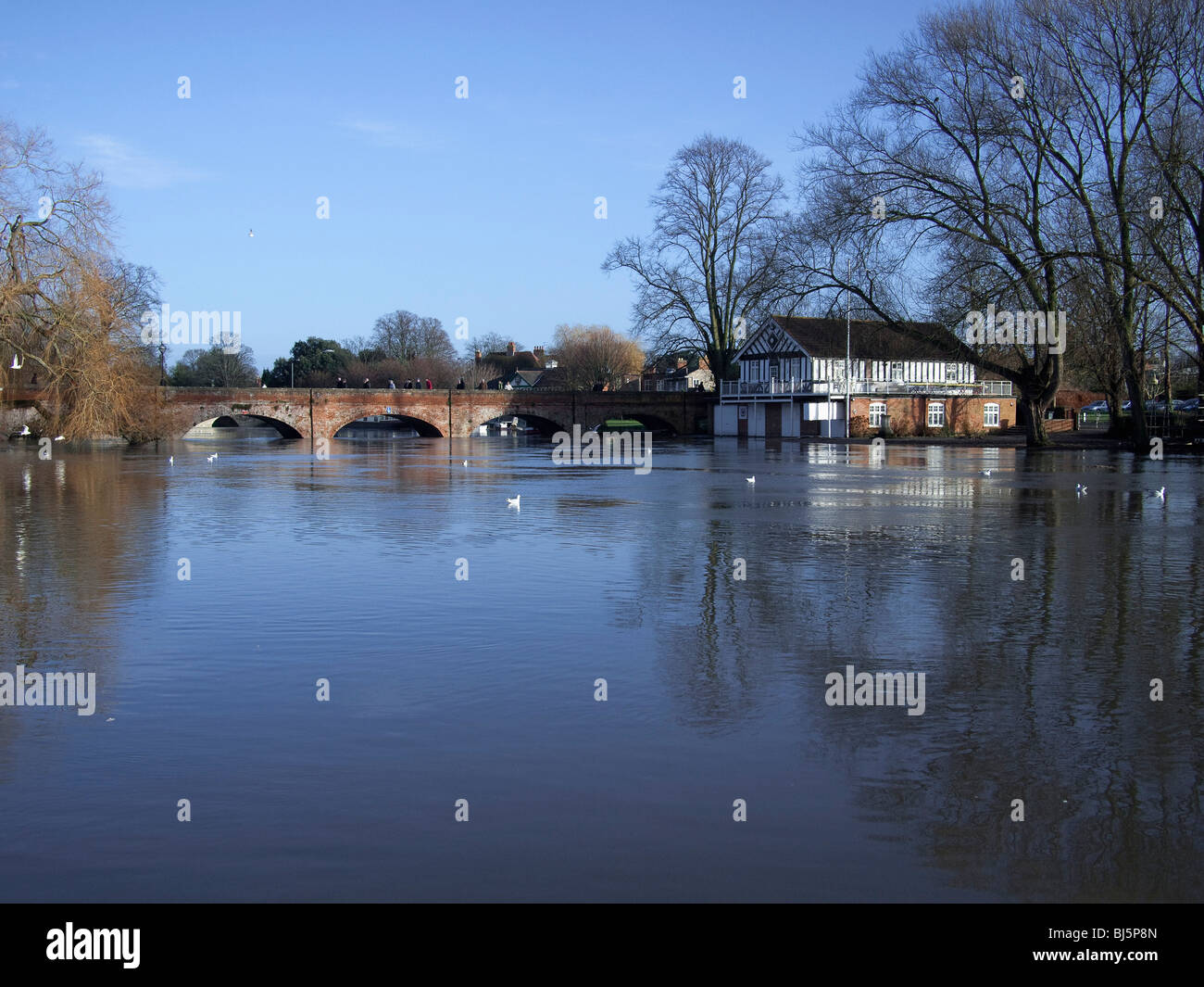 river avon stratford-upon-avon warwickshire england uk Stock Photo - Alamy