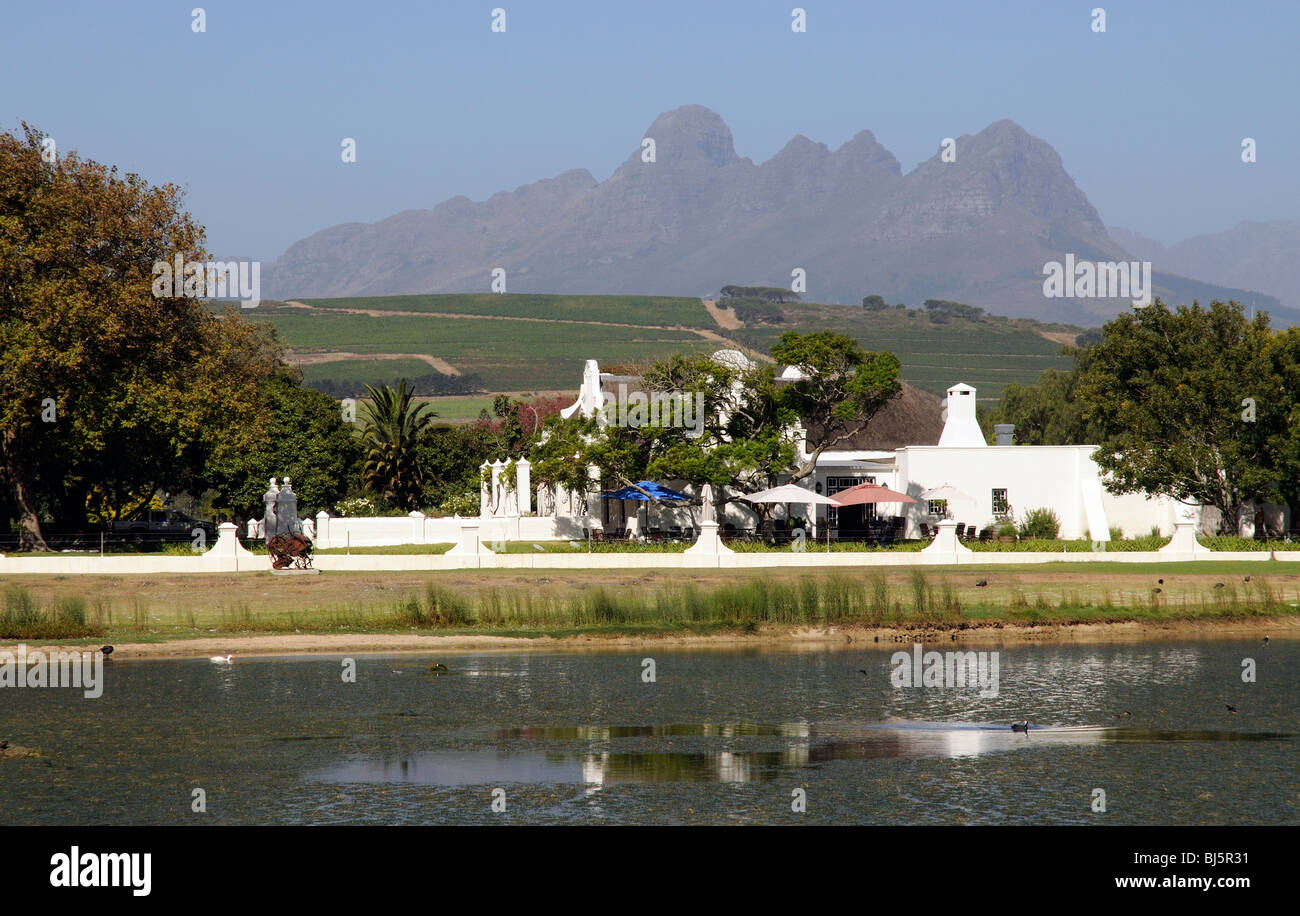 Vergenoegd Wine Estate at Faure close to Stellenbosch in the western ...