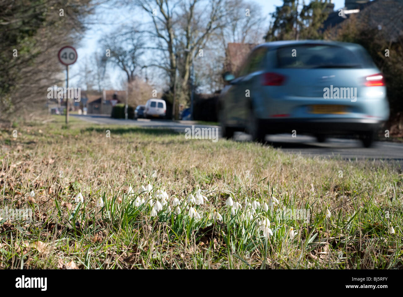 Driving car cars hi-res stock photography and images - Alamy
