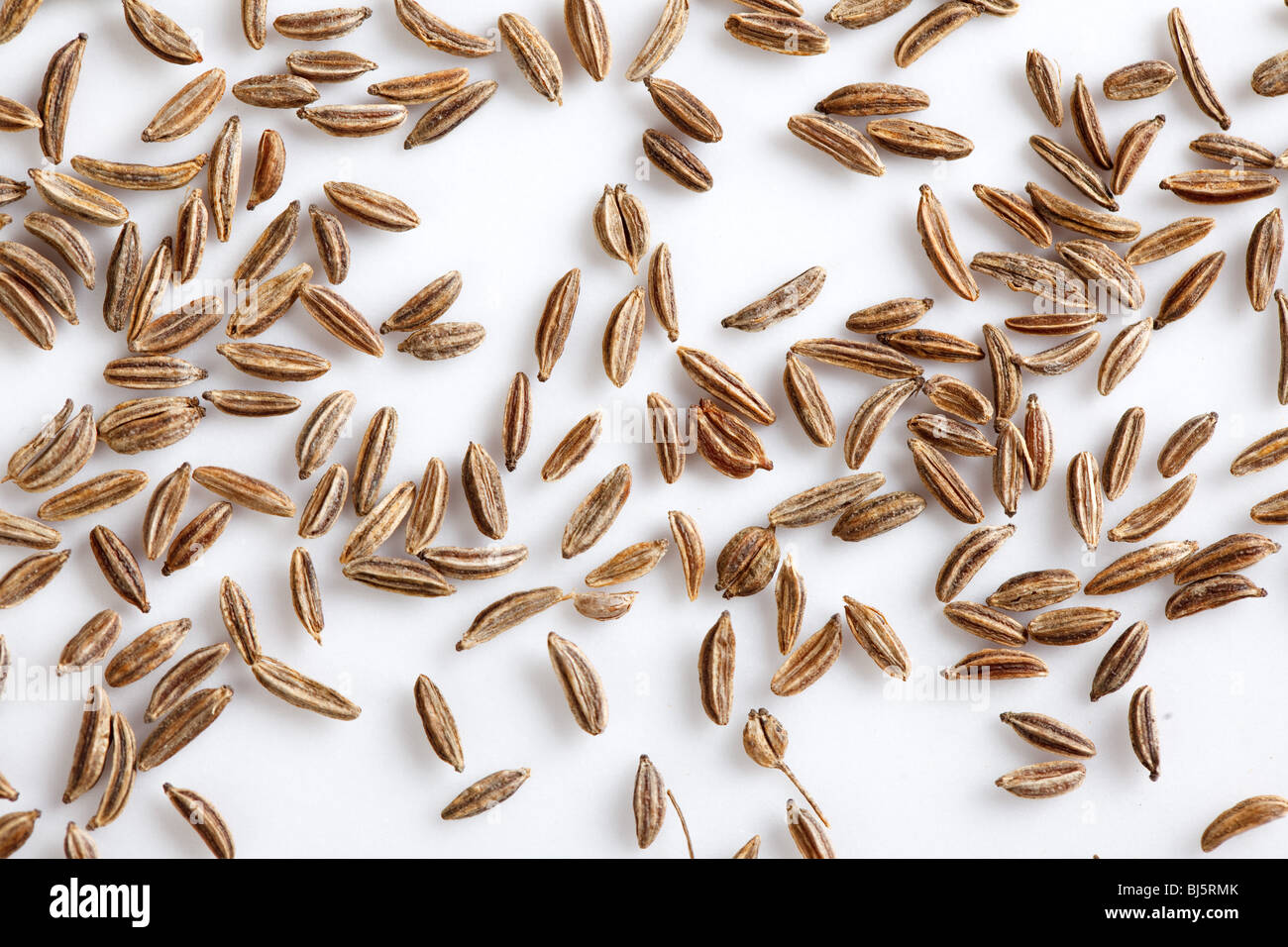 Caraway seed hi-res stock photography and images - Alamy