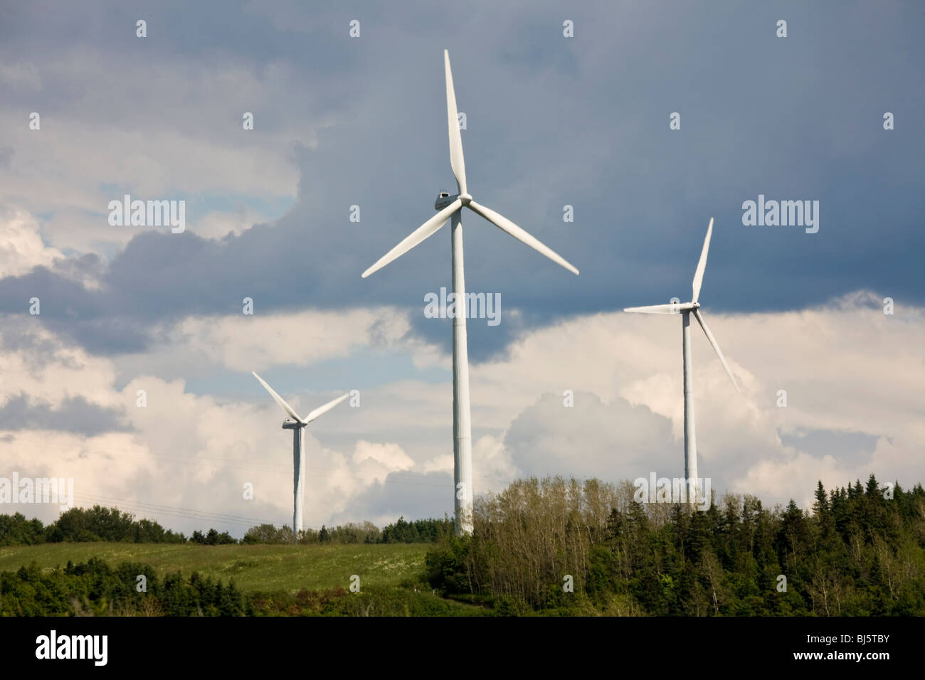 The St. Lawrence River community of Cap-Chat Canada is home to largest ...