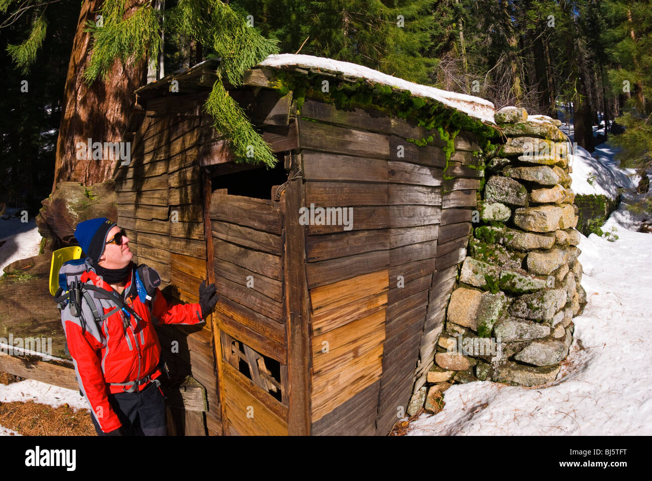 Tharp’s log hi-res stock photography and images - Alamy