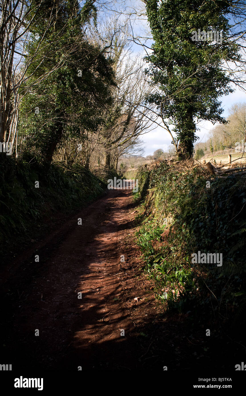 Red soil devon hi-res stock photography and images - Alamy