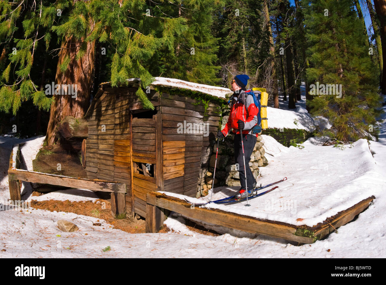 Tharp’s log hi-res stock photography and images - Alamy