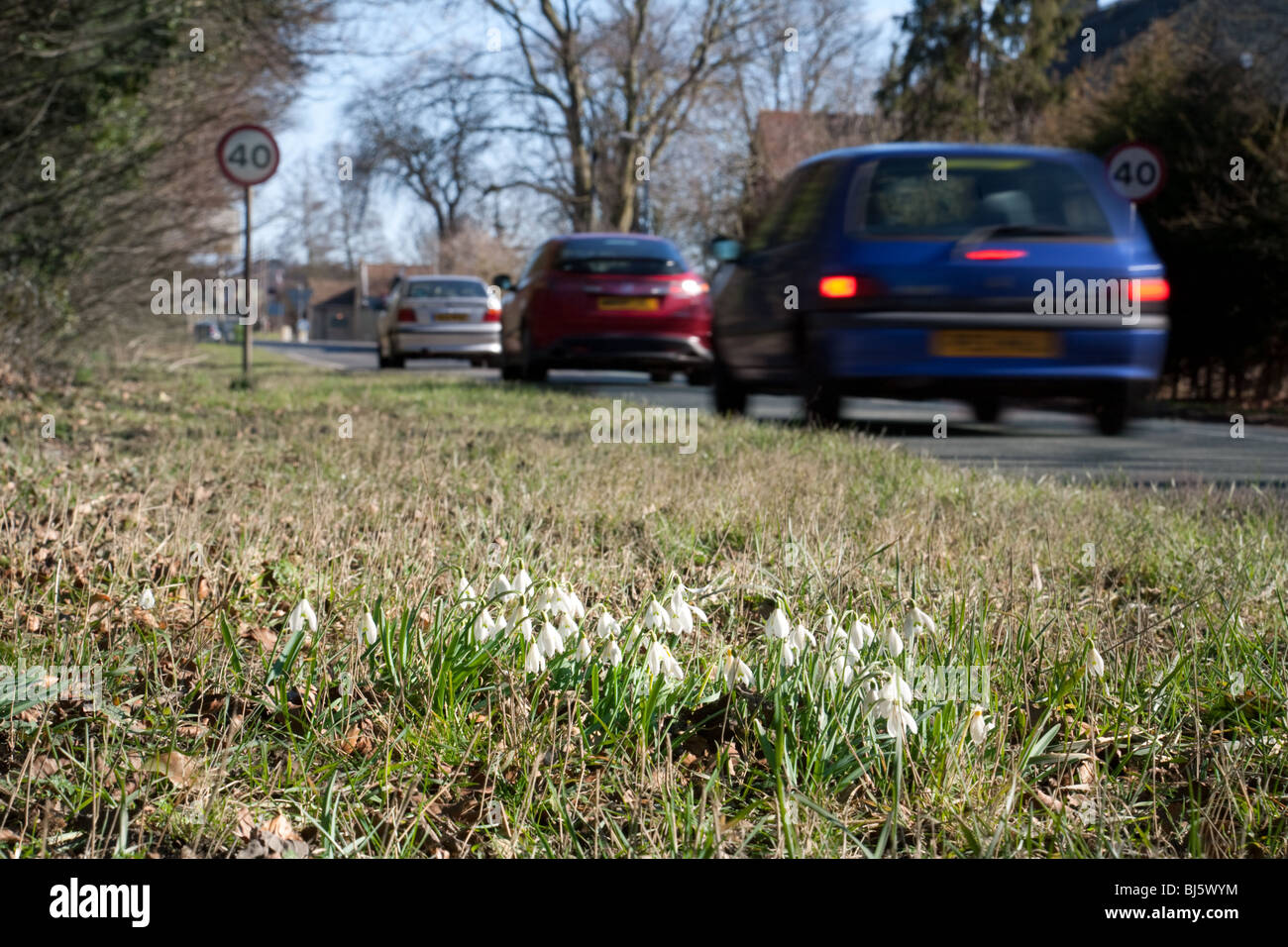 Driving in springtime, Cambridgeshire, East Anglia, UK Stock Photo - Alamy