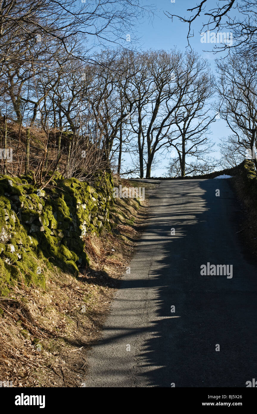 Single track steep country lane Stock Photo - Alamy