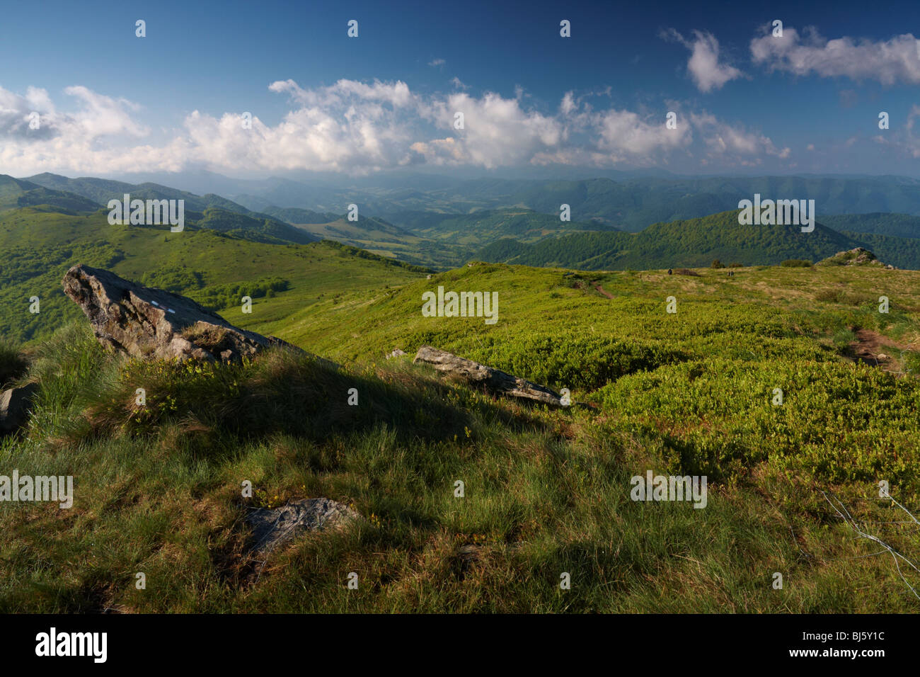 View of Bieszczady Mountains in may, Halicz, Rozsypaniec, Poland Stock ...