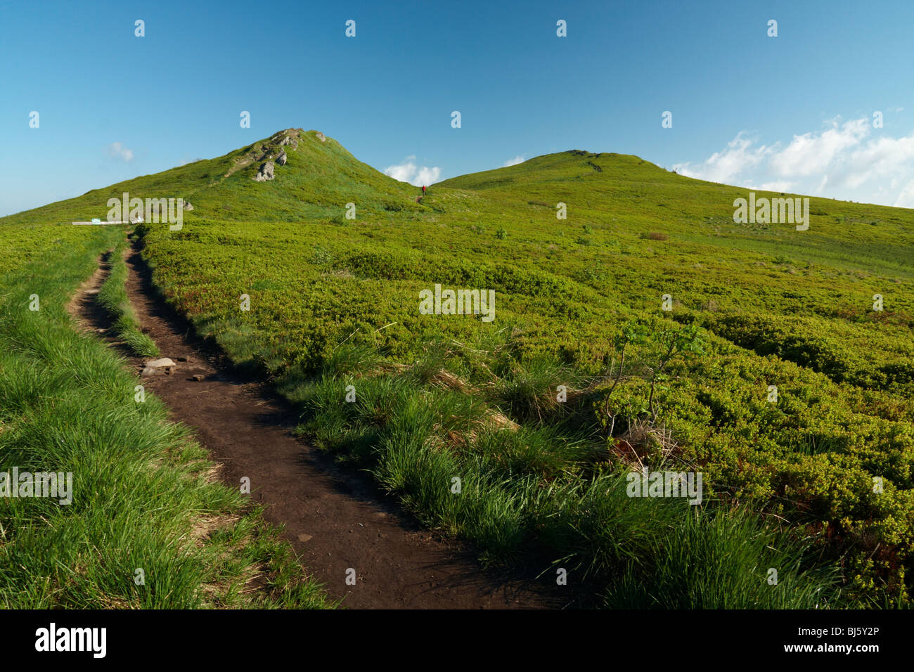 View of Bieszczady Mountains in may, Halicz, Rozsypaniec, Poland Stock ...