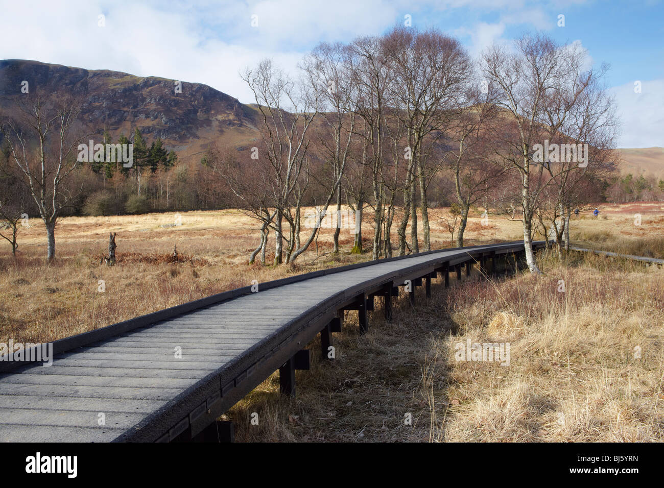 Boardwalk to Manesty at the southern end of Derwentwater in the Lake ...