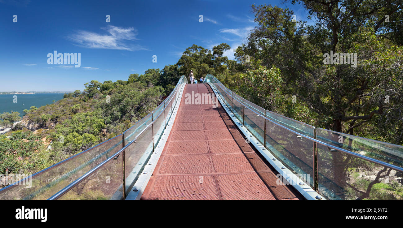 Kings park federation walkway perth hi-res stock photography and images ...