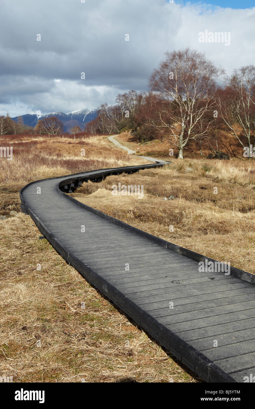 Boardwalk to Manesty at the southern end of Derwentwater in the Lake ...