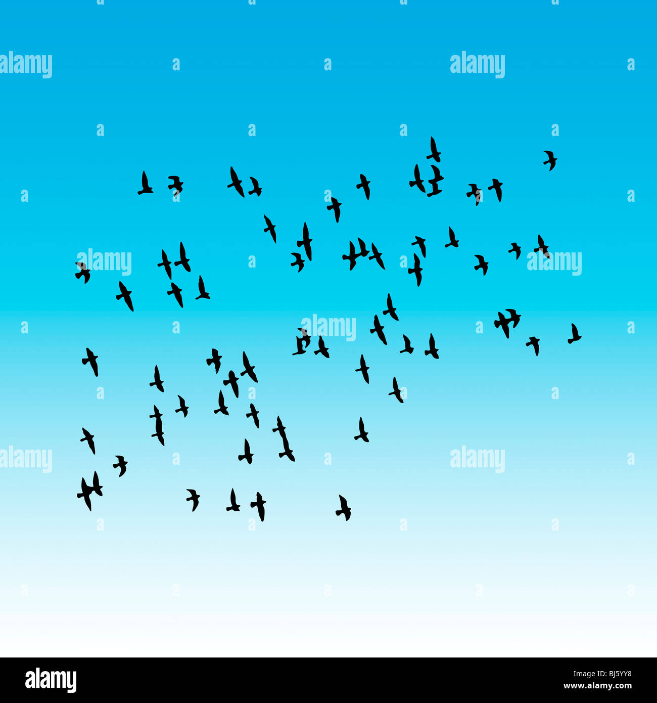 Illustration of a Flock of Birds Stock Photo - Alamy