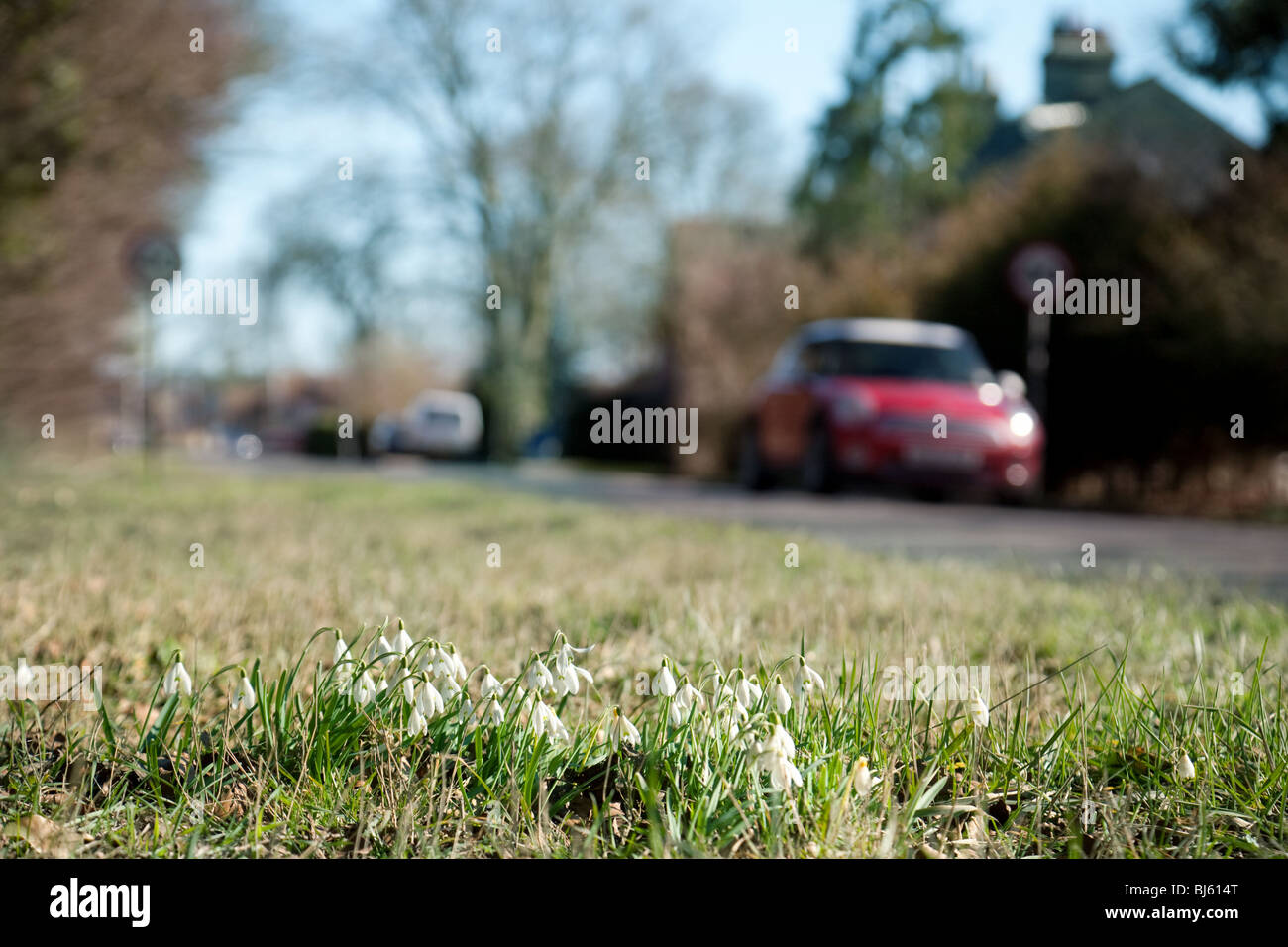 Driving in springtime, Cambridgeshire, East Anglia, UK Stock Photo - Alamy