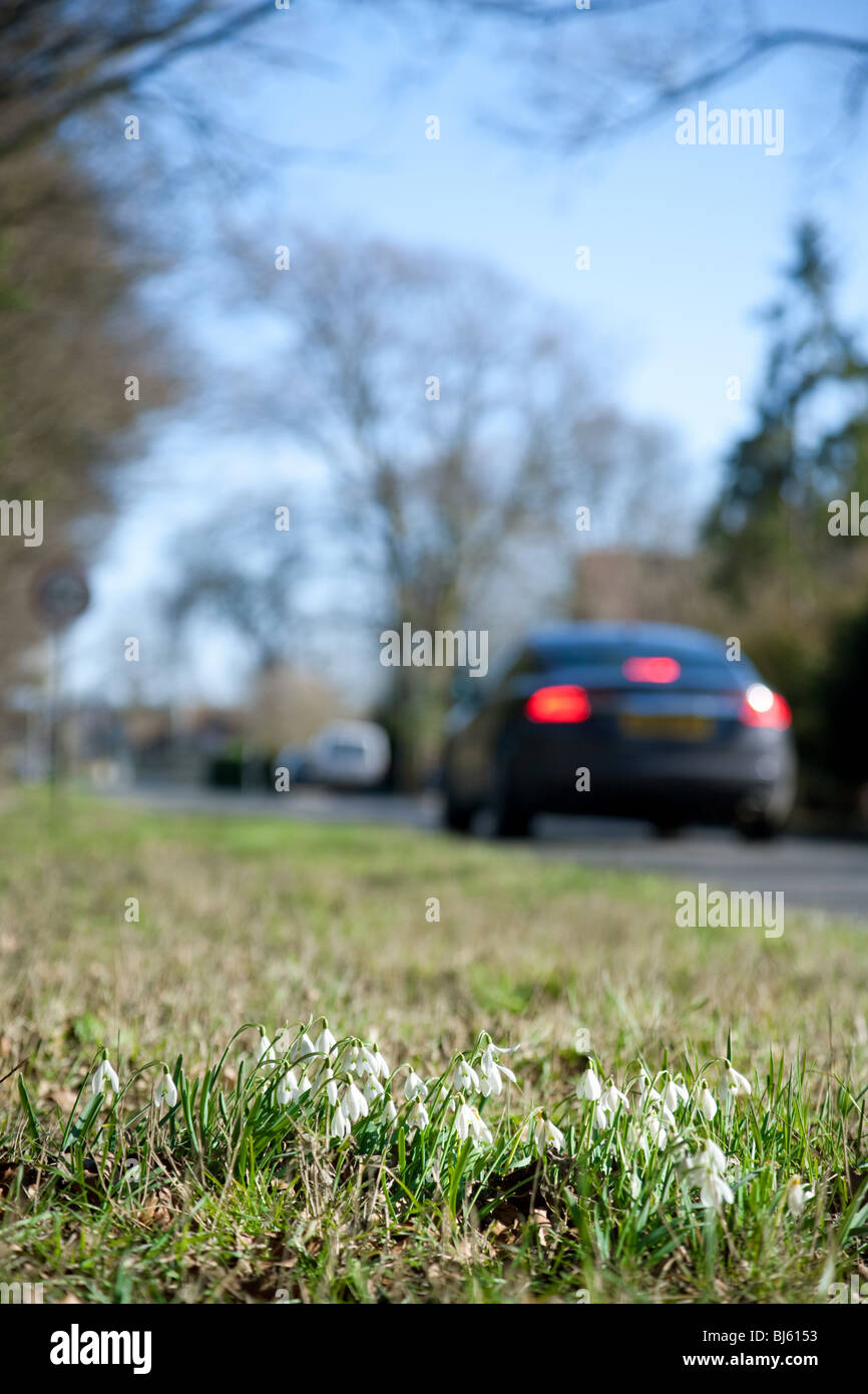 Driving in springtime, Cambridgeshire, East Anglia, UK Stock Photo - Alamy