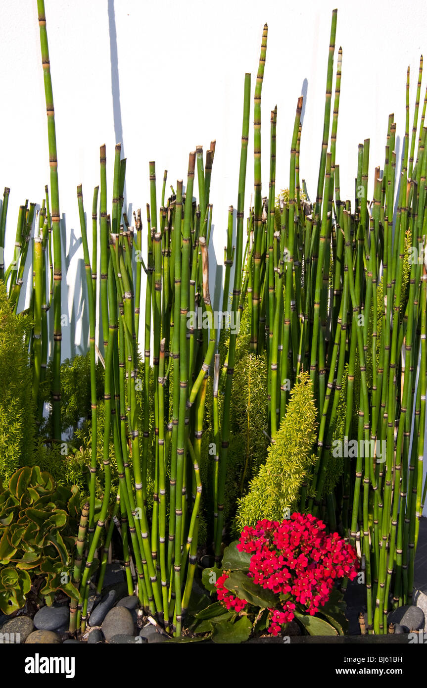Bamboo and flowers Stock Photo - Alamy