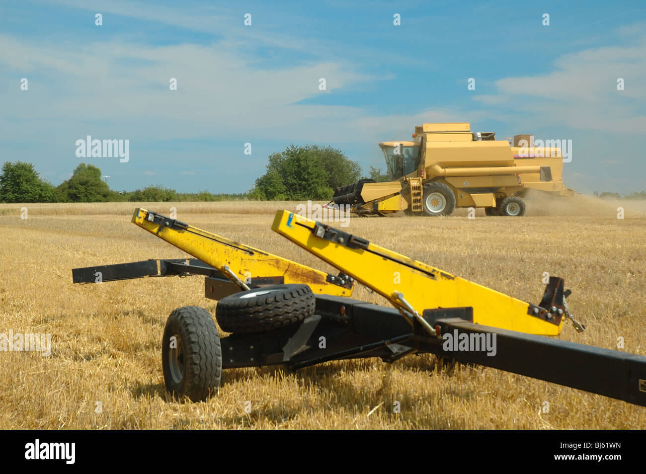 Machine harvesting the corn field Stock Photo - Alamy