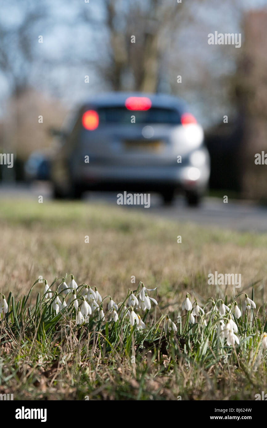 Driving Car Cars High Resolution Stock Photography and Images - Alamy