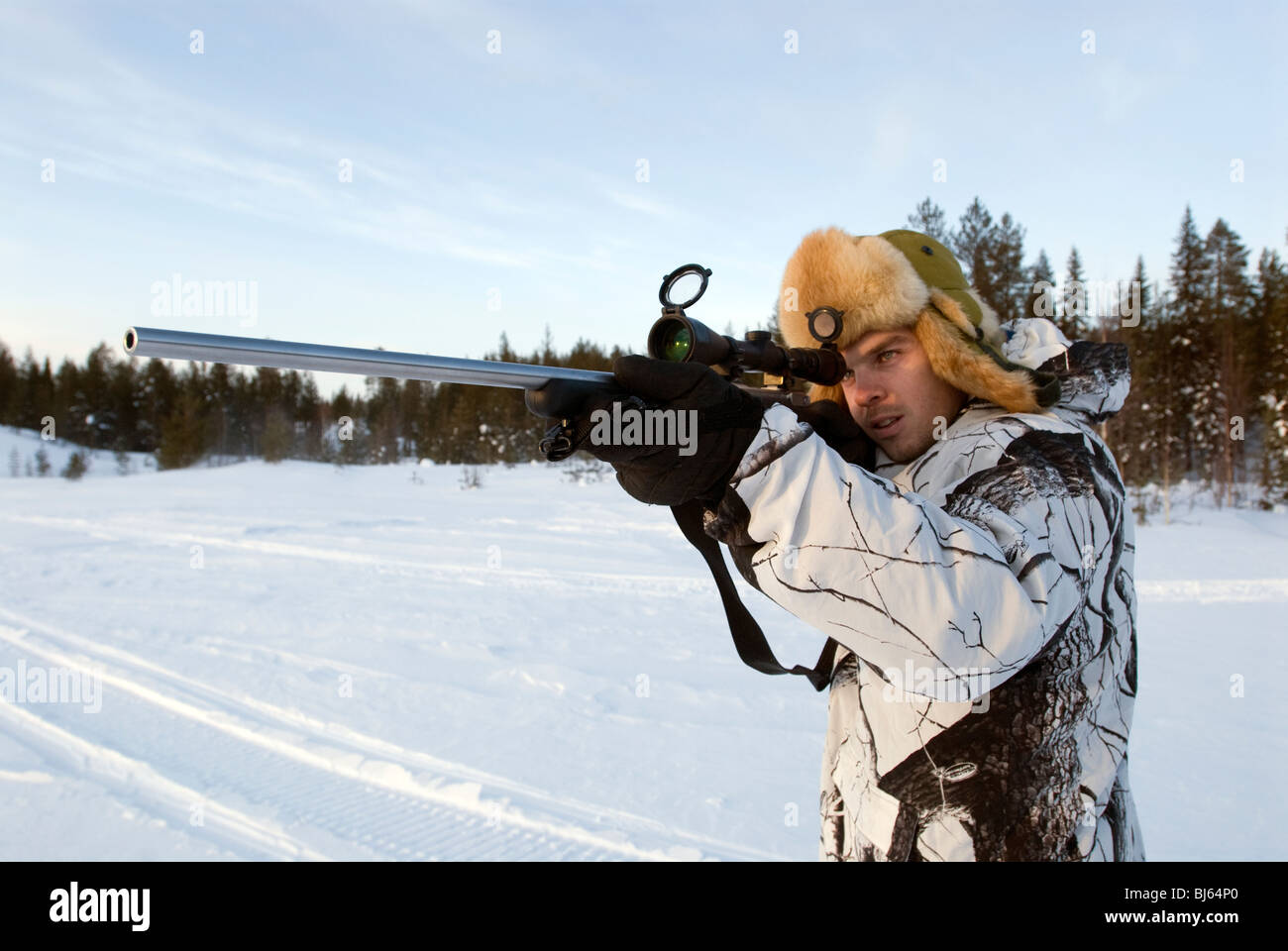 Swedish lapland and deer hi-res stock photography and images - Alamy