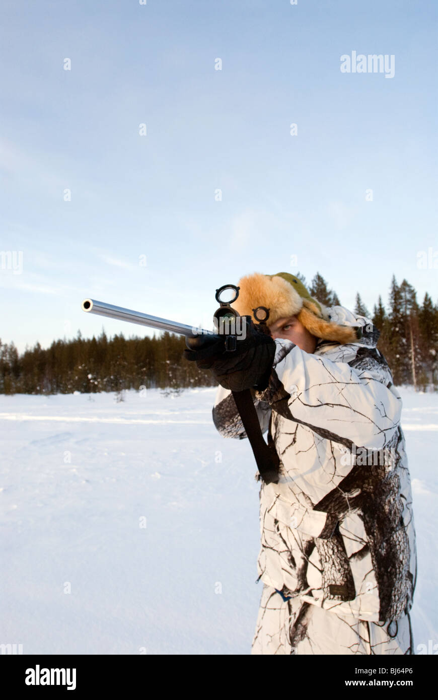 Swedish lapland and deer High Resolution Stock Photography and Images ...