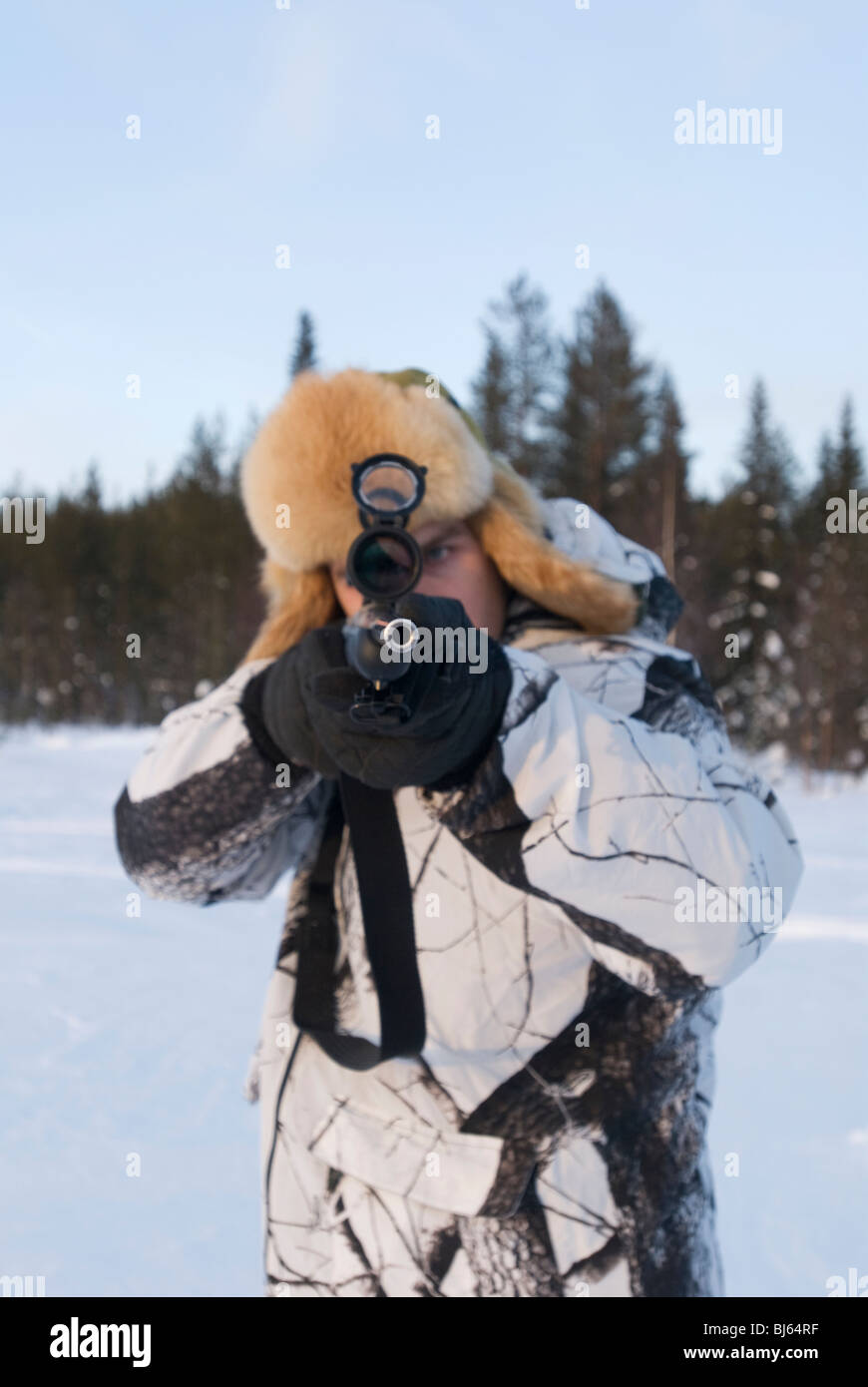 Swedish lapland and deer High Resolution Stock Photography and Images ...