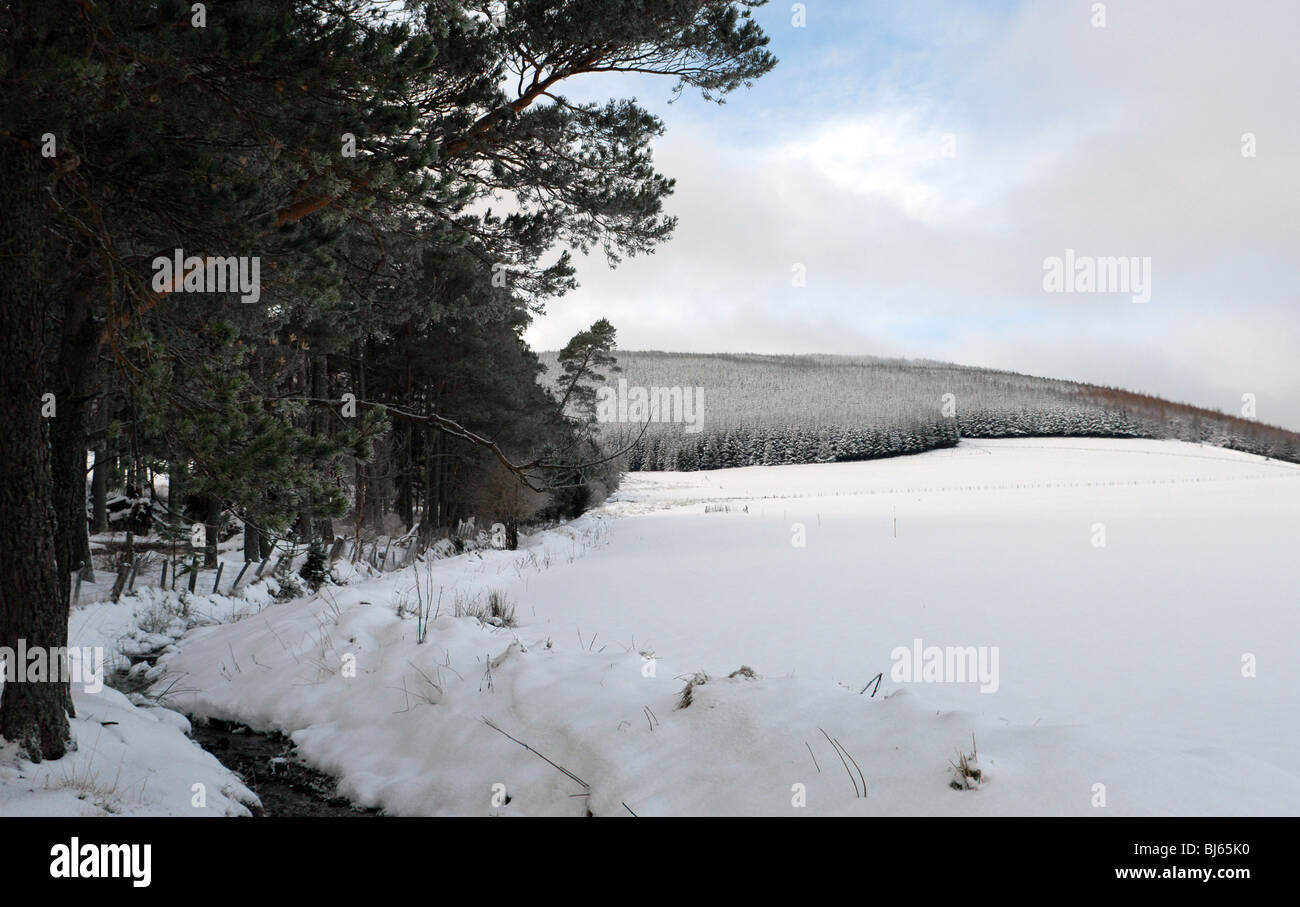 Cold water burn hi-res stock photography and images - Alamy