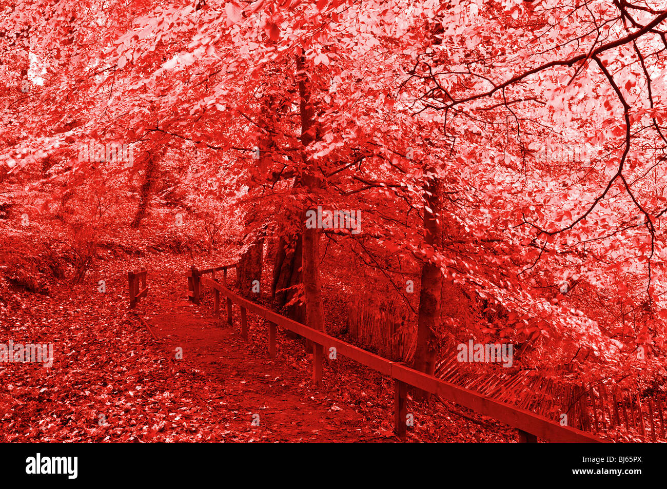 Yarrow Valley Country Park, Chorley, Lancashire Stock Photo - Alamy
