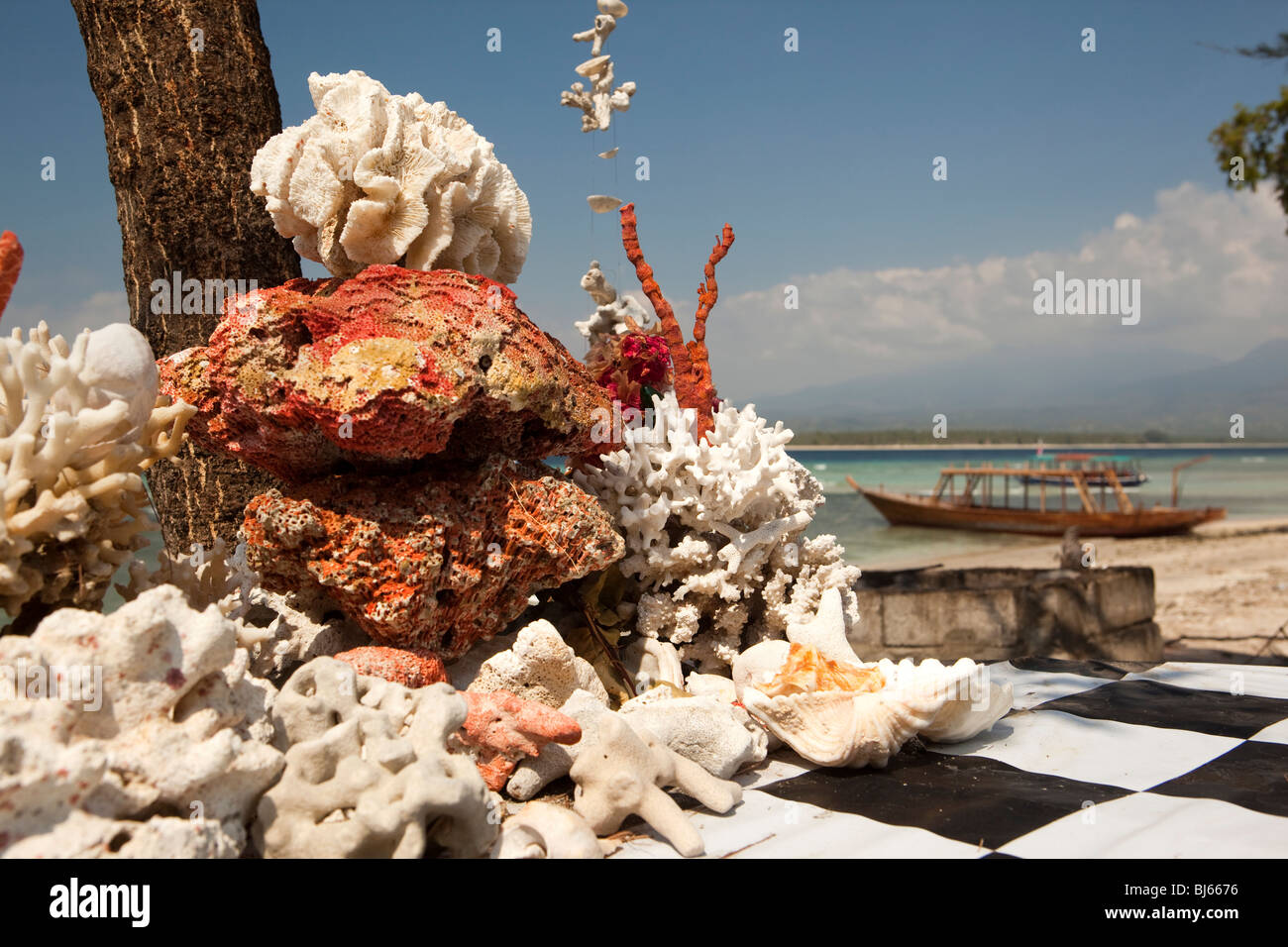 Indonesia, Lombok, Gili Air, Ali Home Stay, display of shells and coral ...