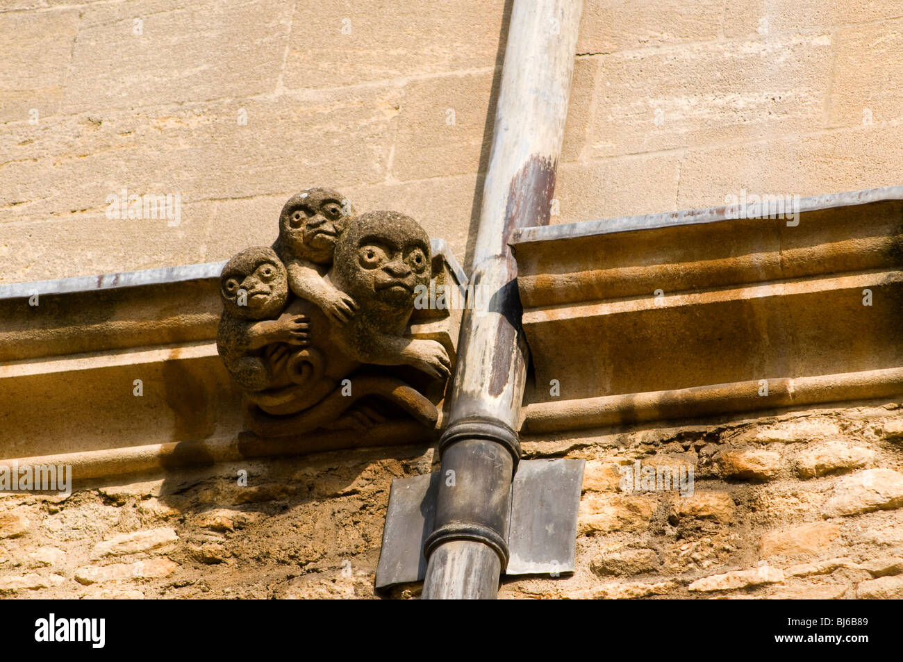 a comic stylized gargoyle animal group on a college wall in Oxford UK ...