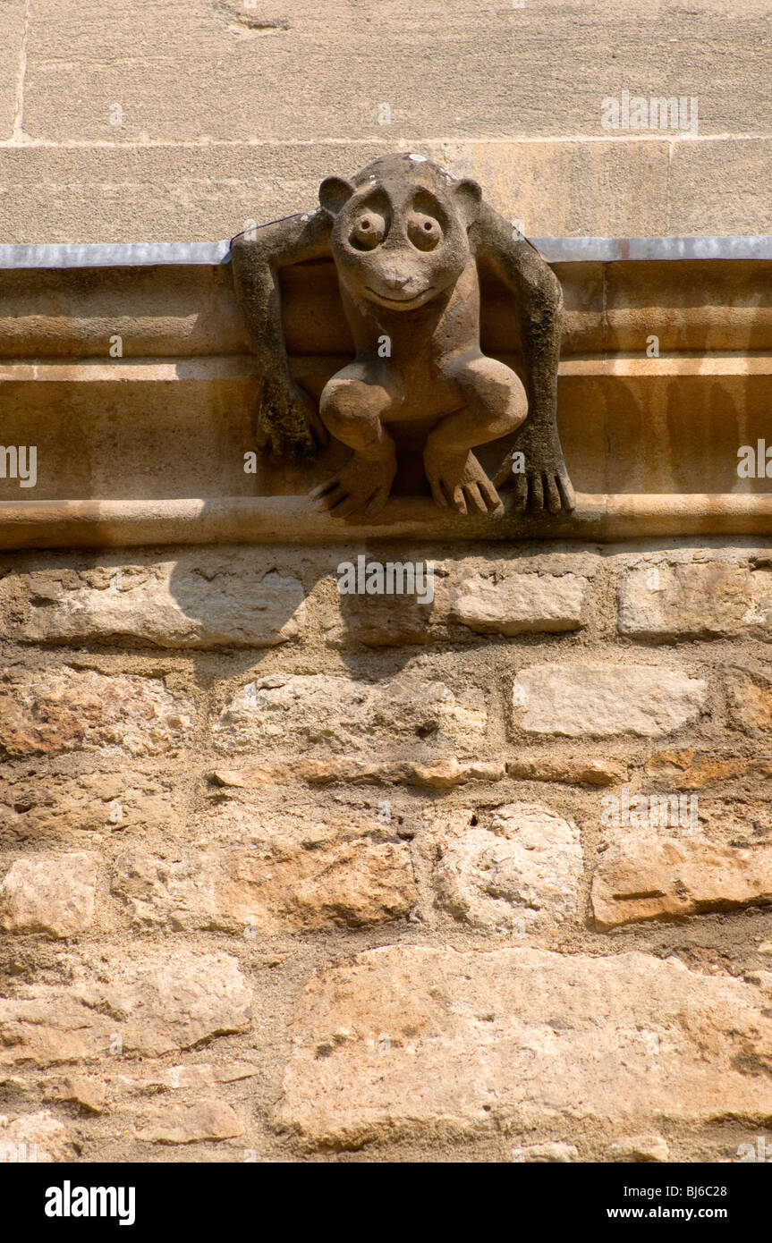 A stylized monkey gargoyle on a college wall in Oxford (New College ...