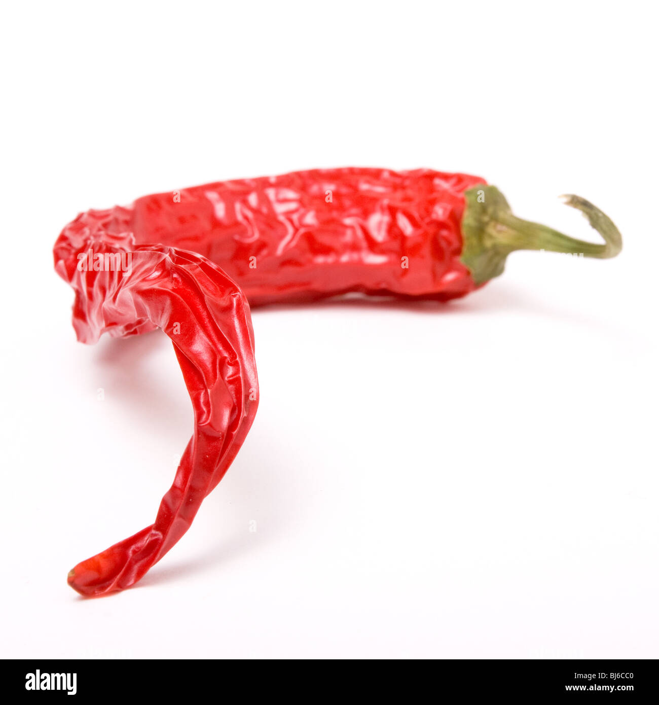 Wrinkled vibrant red chilli's isolated against white background with ...