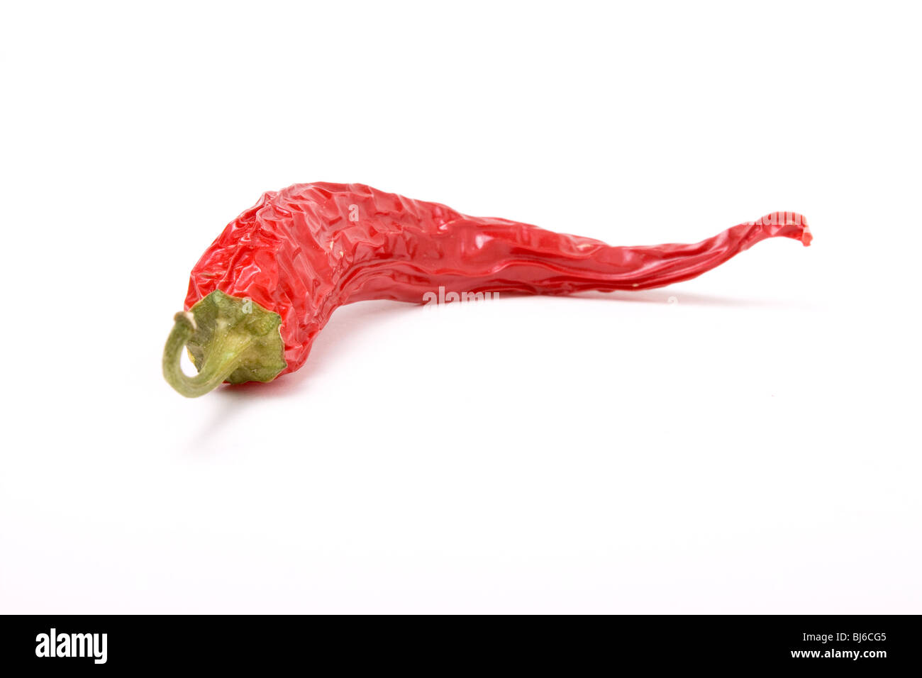 Wrinkled vibrant red chilli's isolated against white background with ...