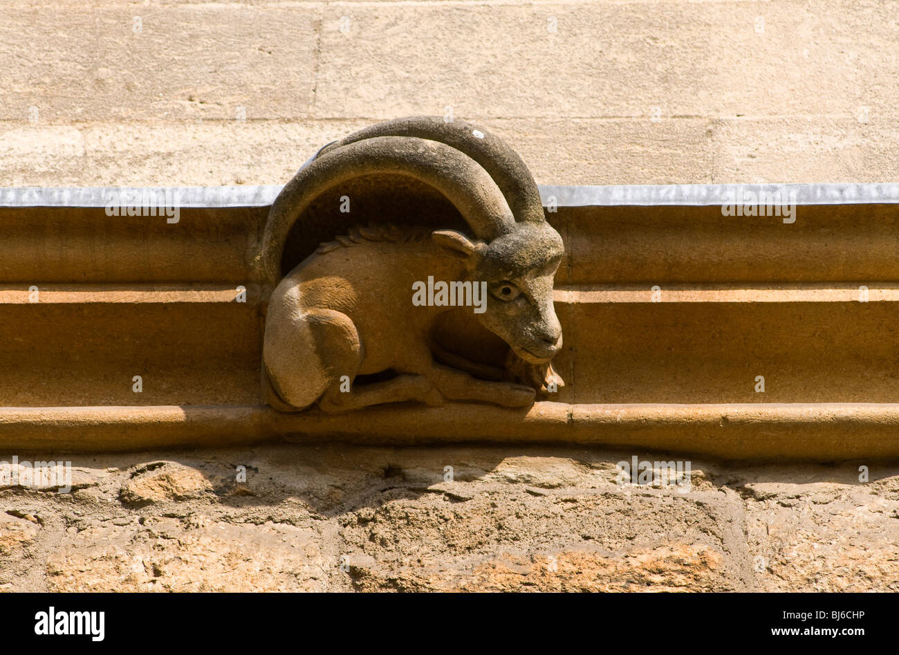 A stylized goatlike gargoyle on a college wall in Oxford (New College ...