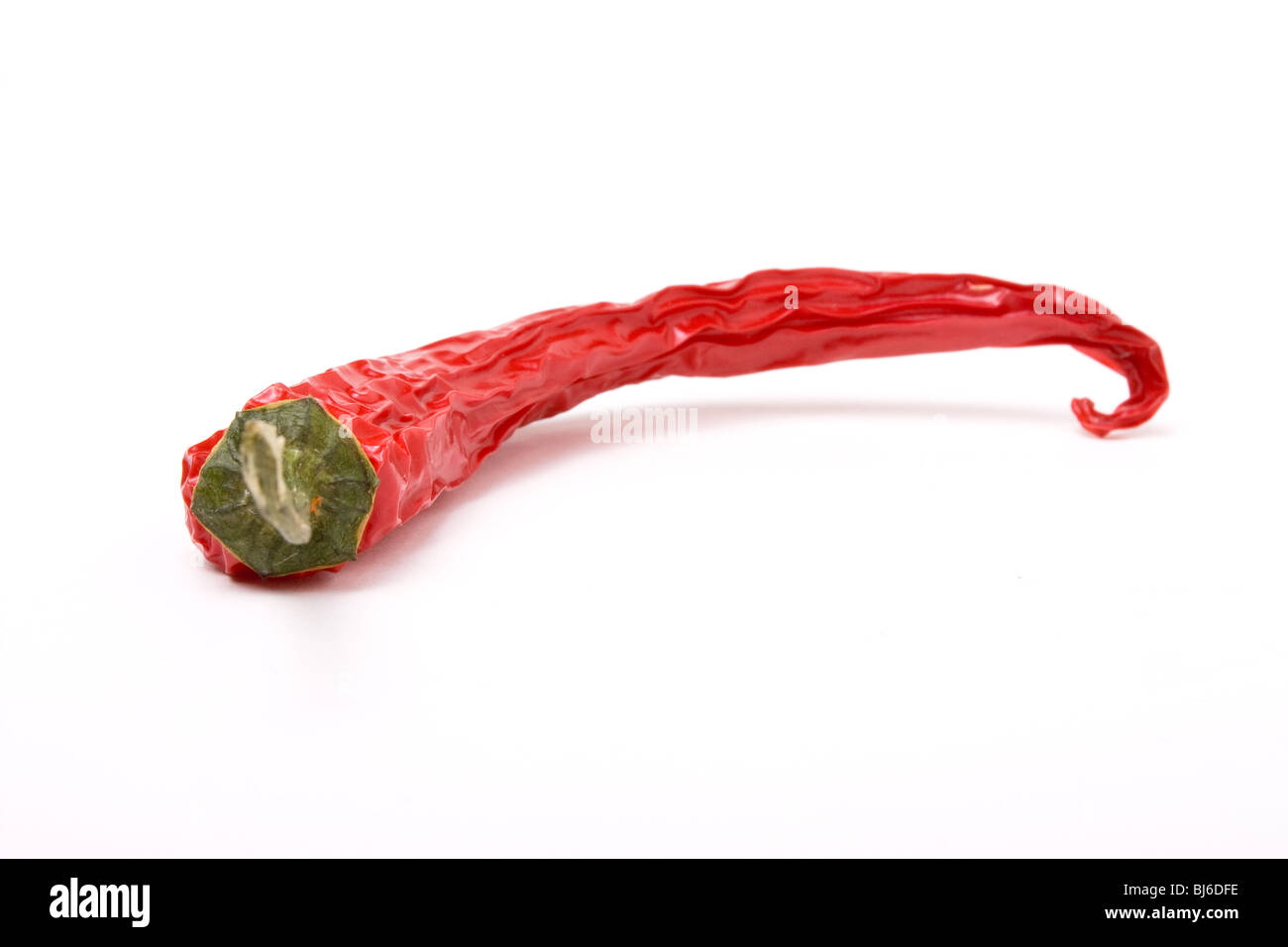 Wrinkled vibrant red chilli's isolated against white background with ...