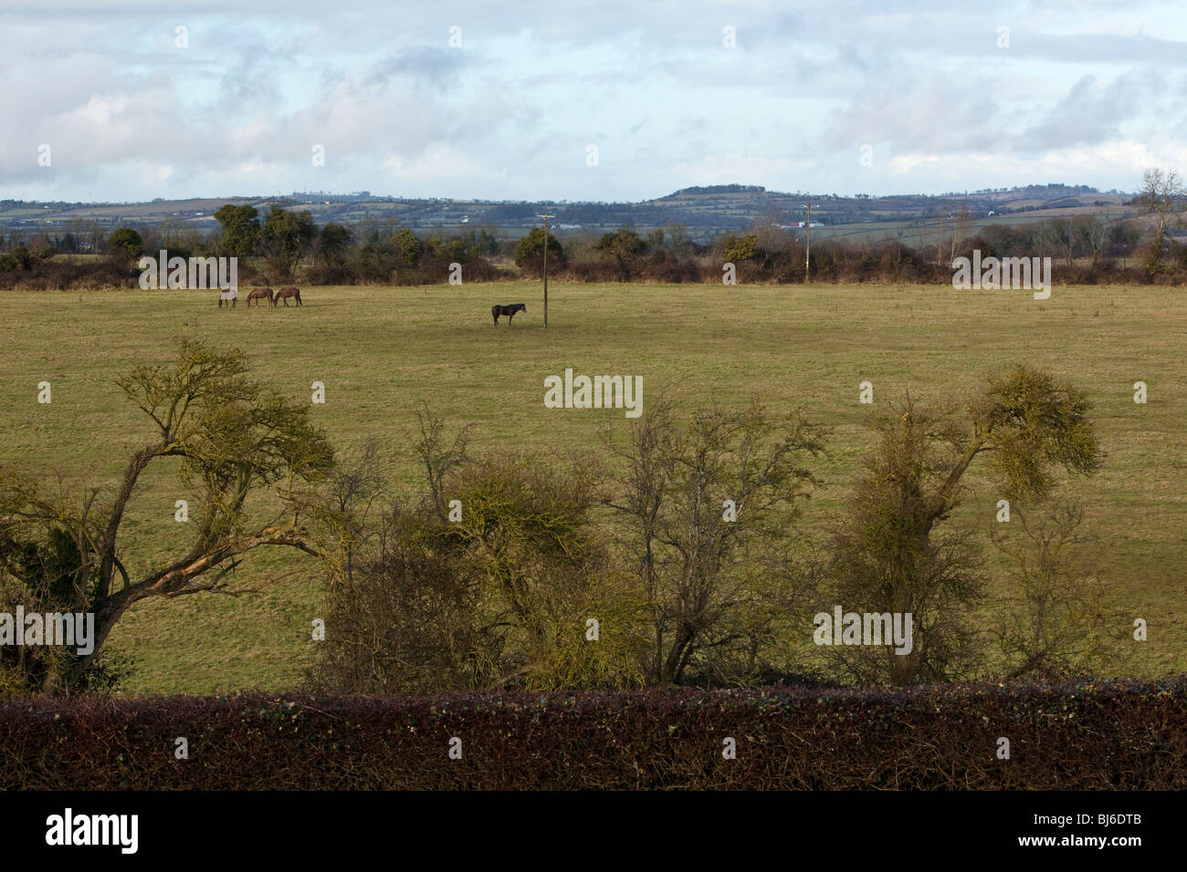 Neolithic house ireland hi-res stock photography and images - Alamy