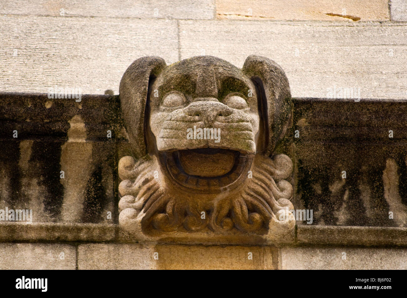 A carved dog like gargoyle on an Oxford College UK Stock Photo - Alamy