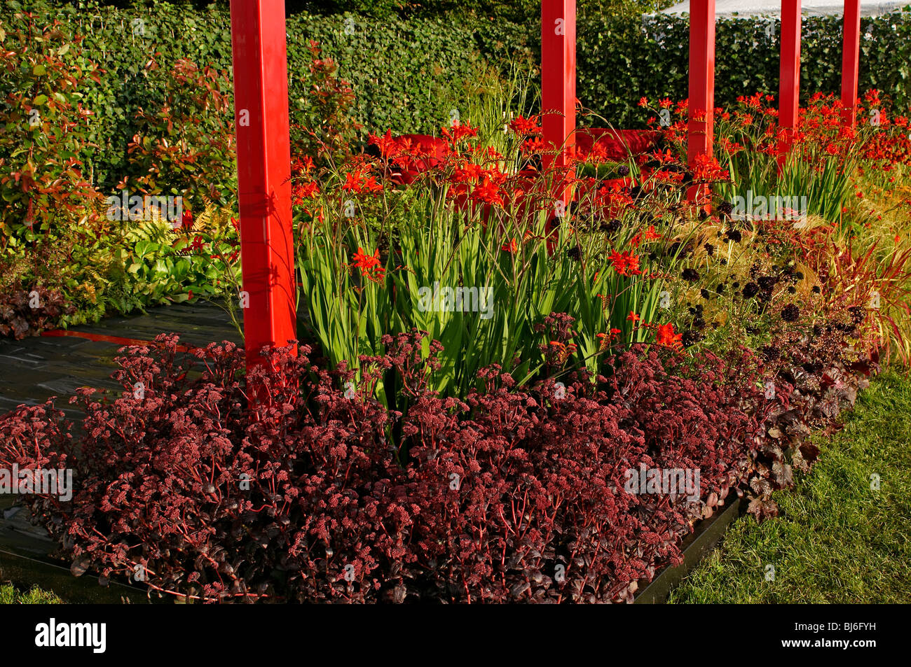 A modern red garden with stylish planting Stock Photo - Alamy