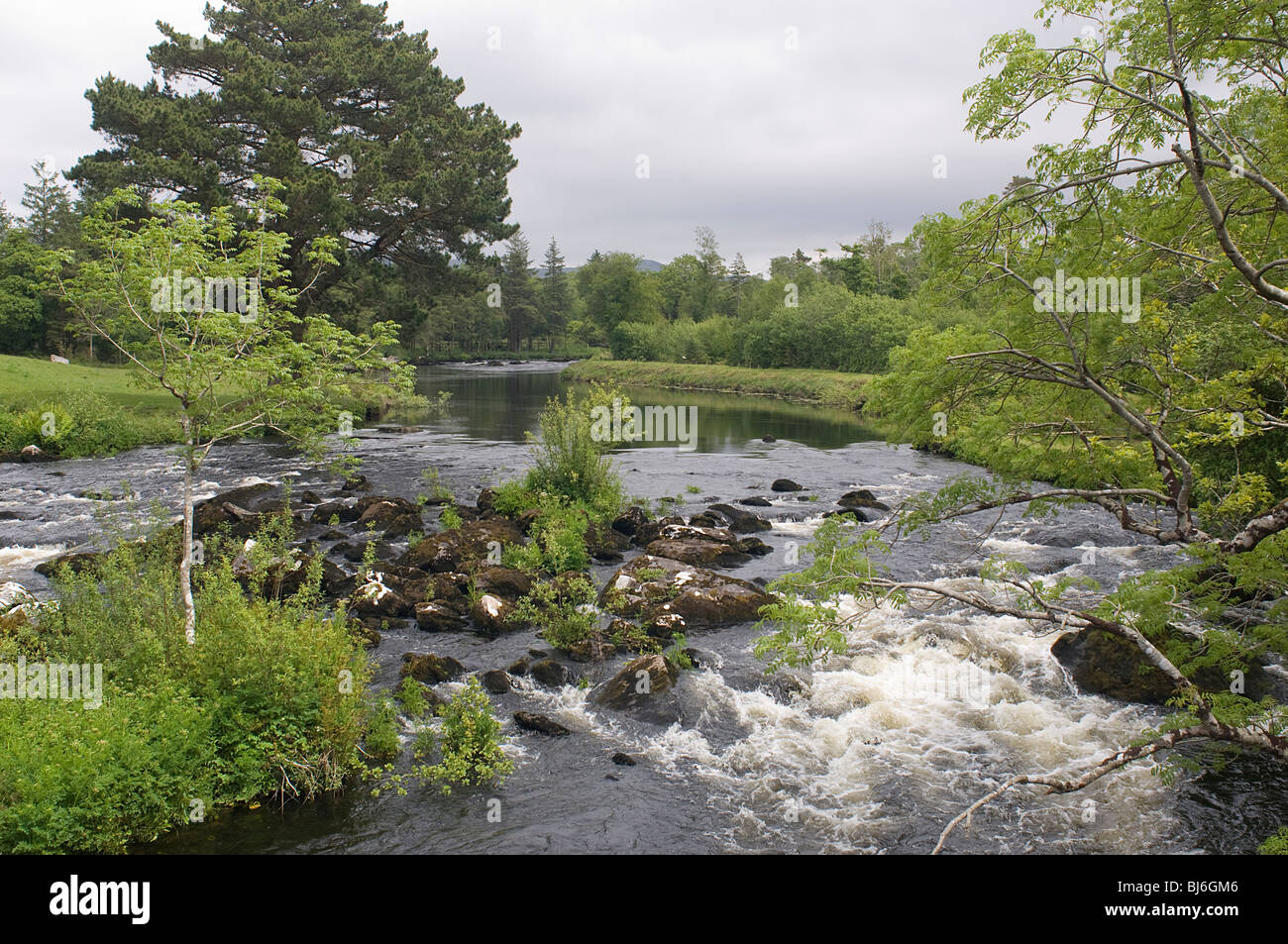 River Carragh, Kerry Ireland Stock Photo - Alamy