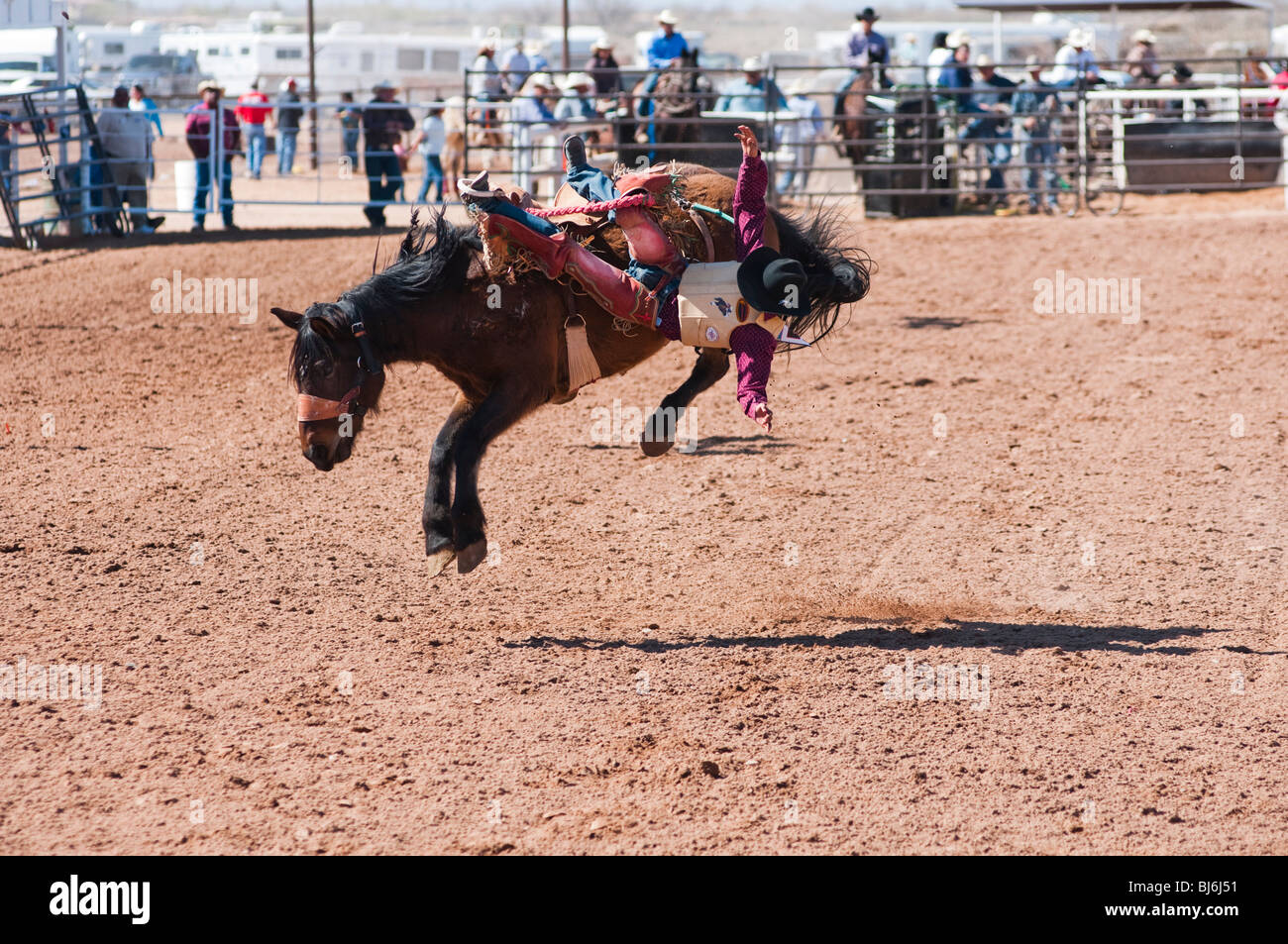 a cowboy competes in the saddle bronc riding event during the O'Odham ...
