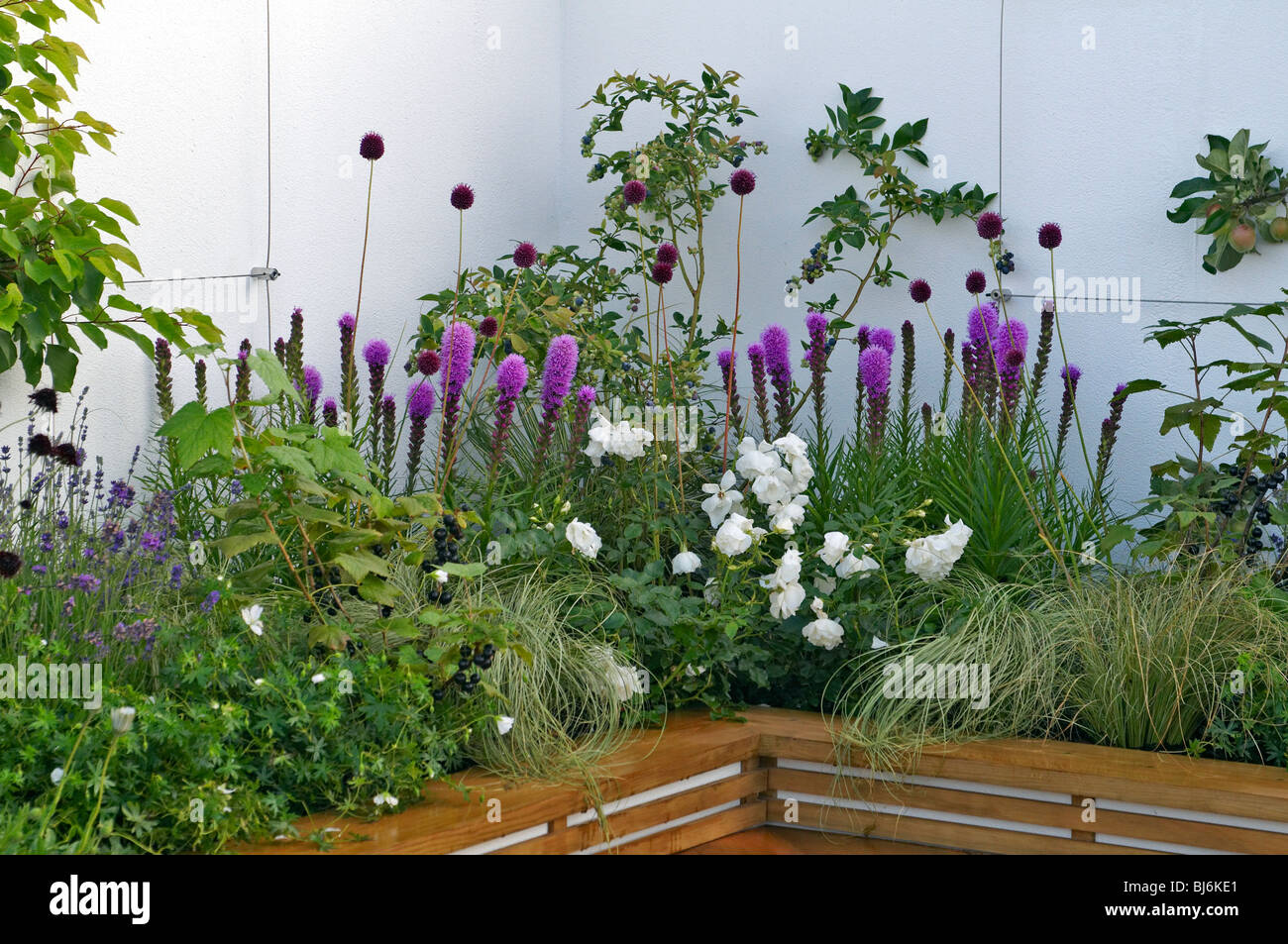 Raised flower bed hi-res stock photography and images - Alamy