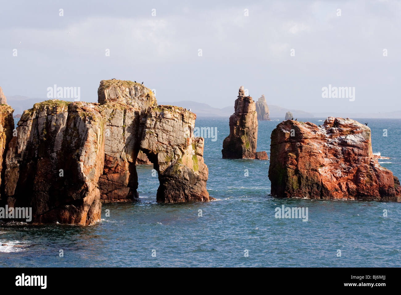 Drong hi-res stock photography and images - Alamy