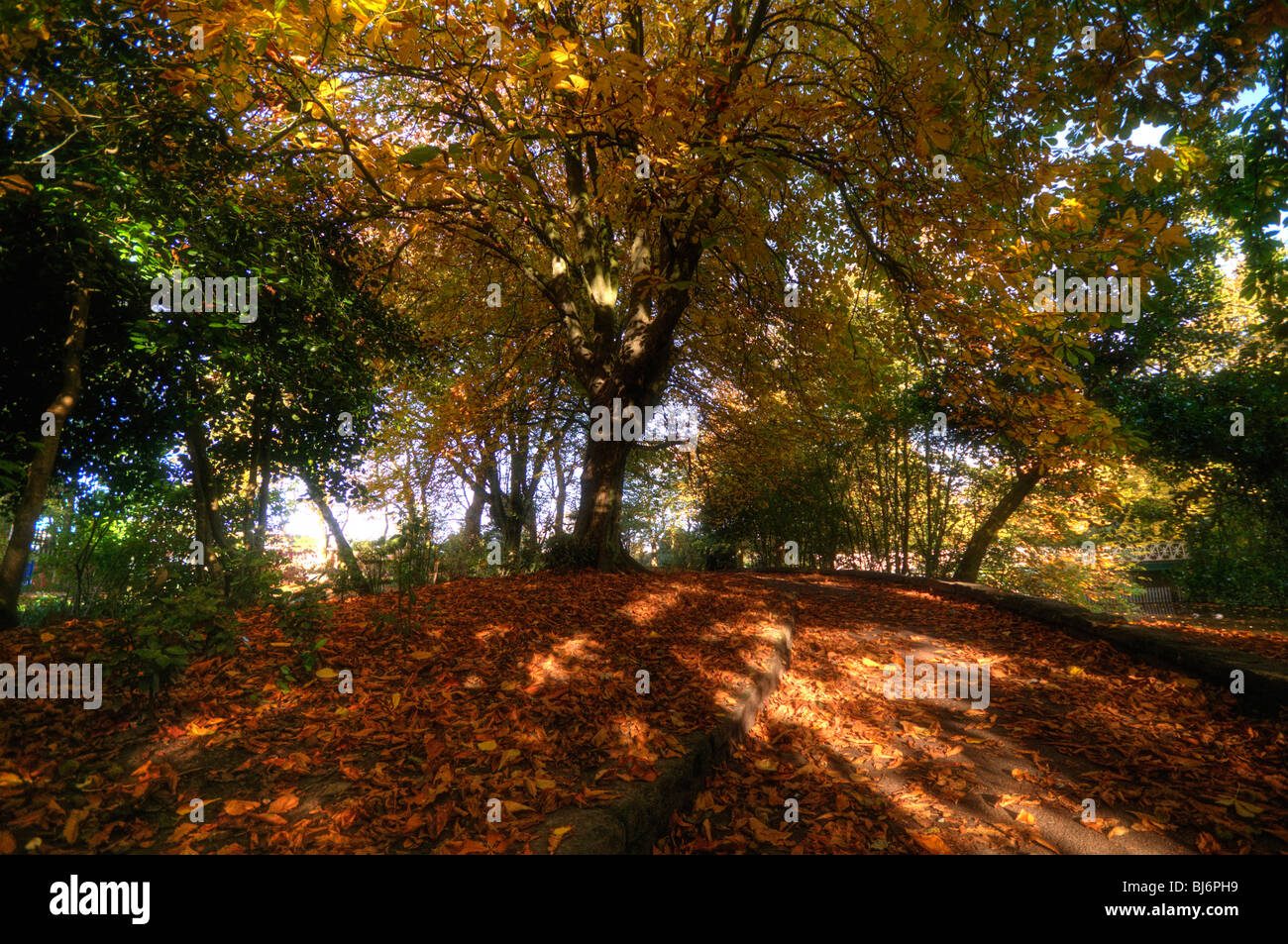Red earth and autumn trees hi-res stock photography and images - Alamy