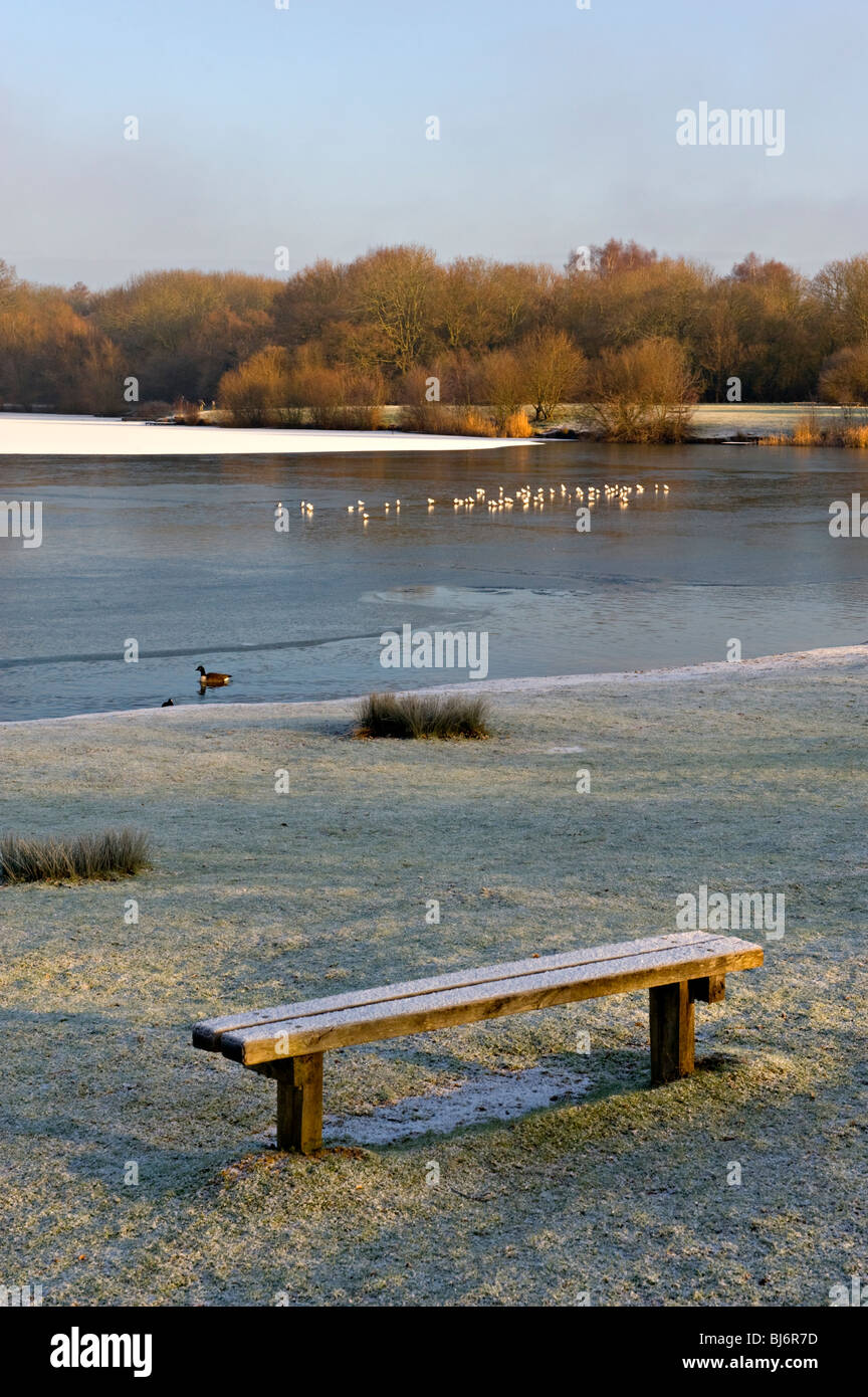 Barden Lake, Tonbridge, Kent, England in winter sunshine Stock Photo ...
