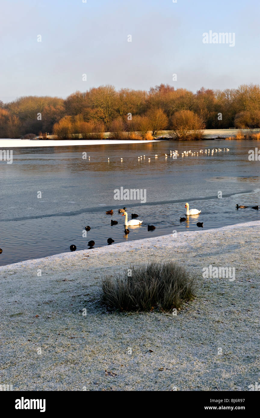Barden Lake, Tonbridge, Kent, England in winter sunshine Stock Photo ...