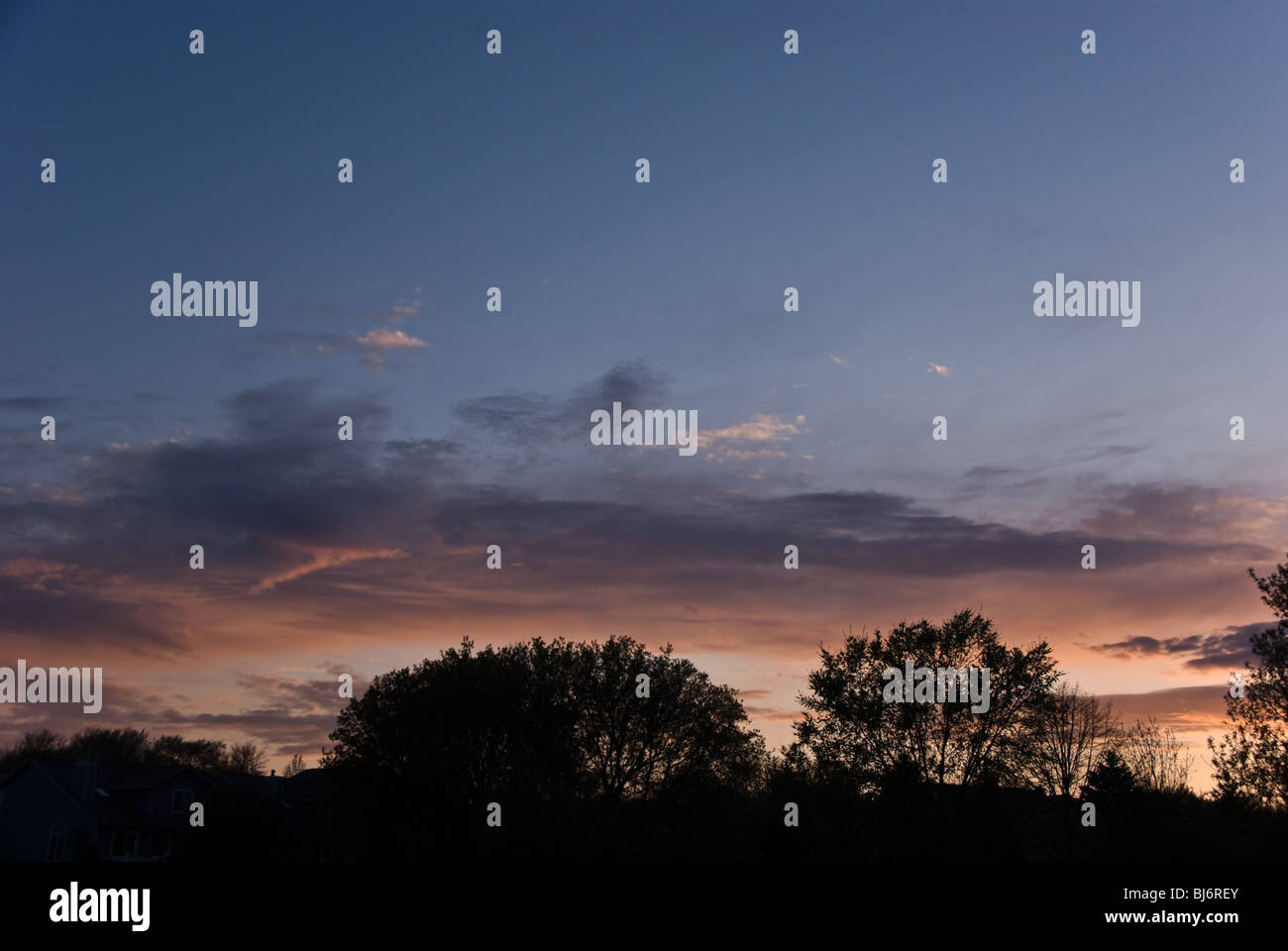 Red and orange trees hi-res stock photography and images - Alamy