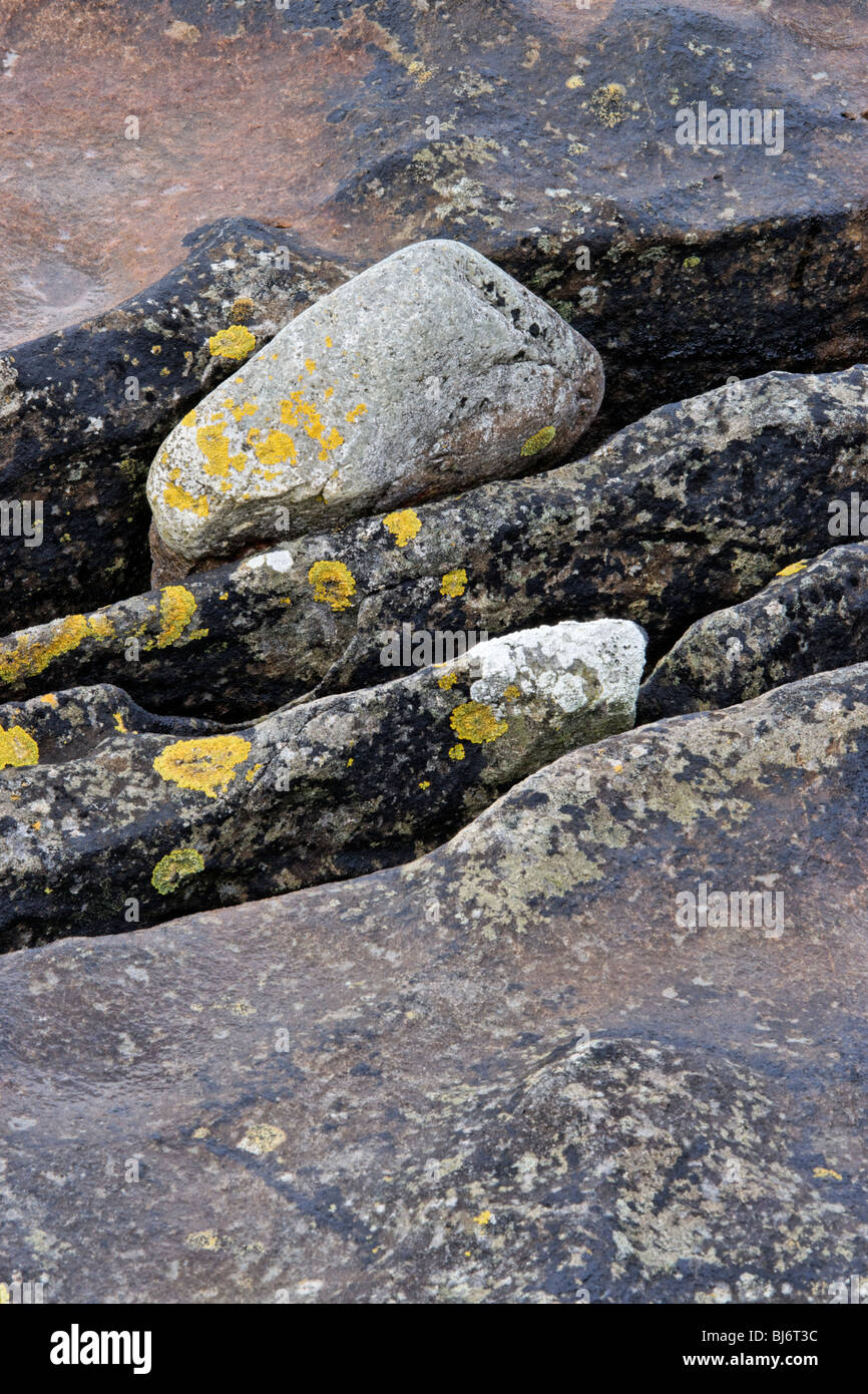 Lichen on rock rocks hi-res stock photography and images - Alamy