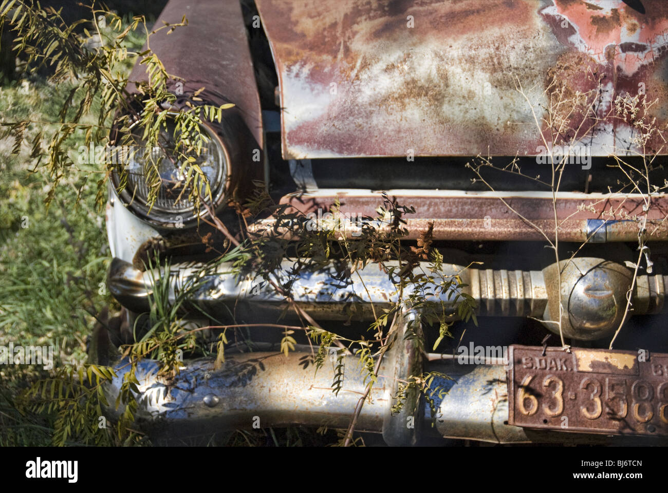 Old rusty license plate hi-res stock photography and images - Alamy