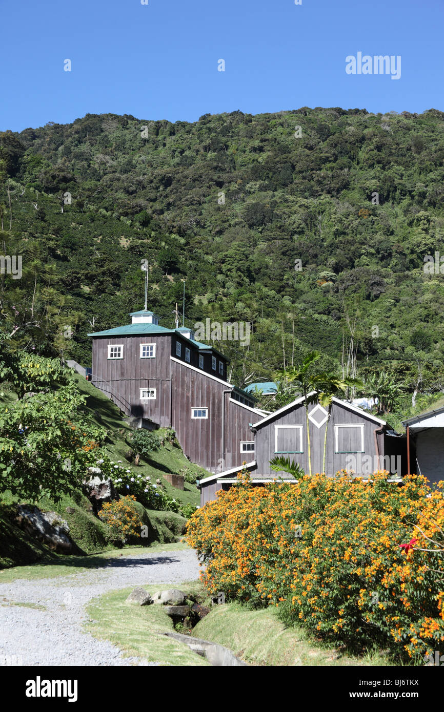 Finca Lerida coffee farm and boutique hotel / lodge that is popular ...