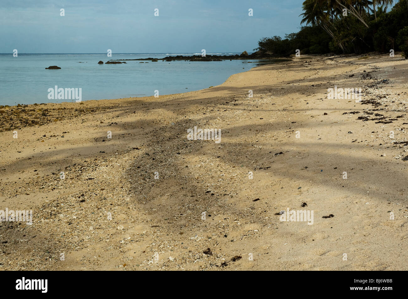 Shadows cast by tree hi-res stock photography and images - Alamy