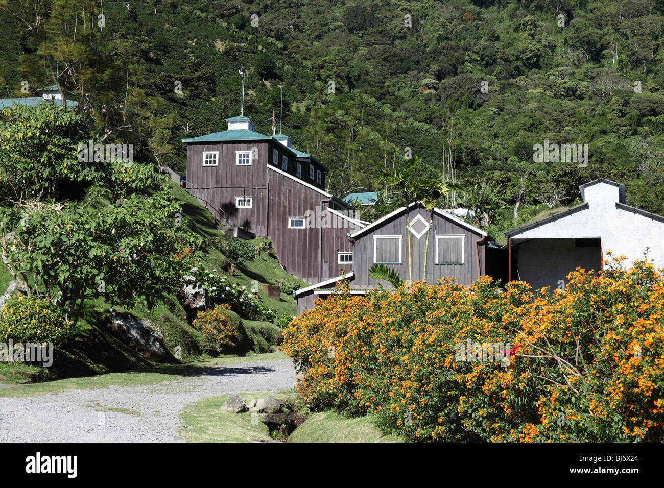 Finca Lerida coffee farm and boutique hotel / lodge that is popular ...